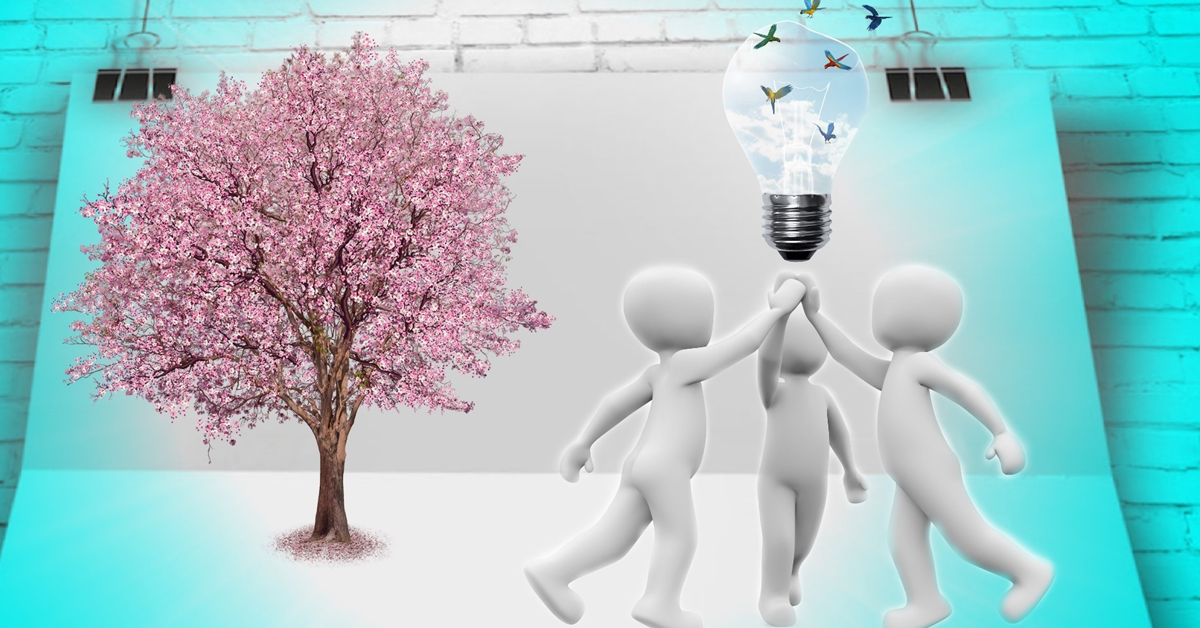 Achieving Quality Standards in Landscaping Contracts.